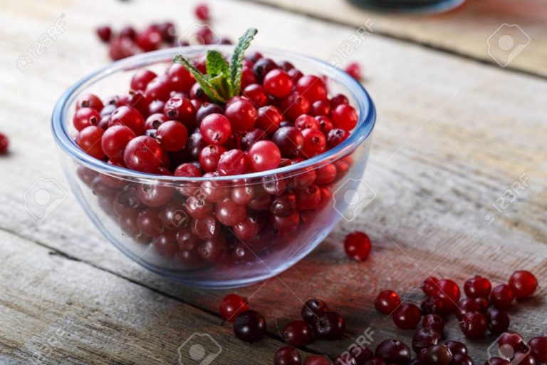 Cranberry Fruit - Evergreen Tips